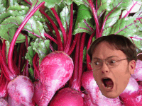 Beets GIFs - Get the best gif on GIFER