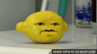 Lemon GIFs - Get the best gif on GIFER