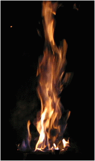 Blaze GIFs - Get the best gif on GIFER