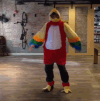 Macaws GIFs - Get the best gif on GIFER