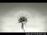 Dandelion GIFs - Get the best gif on GIFER