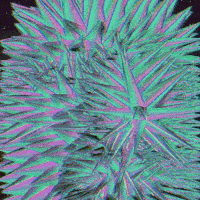 Extrusion GIFs - Get the best gif on GIFER