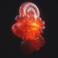 Octane GIFs - Get the best gif on GIFER