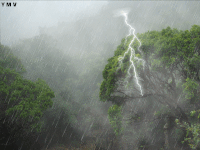 Raining GIFs - Get the best gif on GIFER