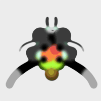 Flapping wings GIFs - Get the best gif on GIFER