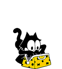 200k GIFs - Get the best gif on GIFER