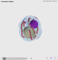 Celula GIFs - Get the best gif on GIFER