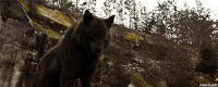 Werewolf GIFs - Get the best gif on GIFER