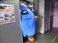 Mascots GIFs - Get the best gif on GIFER