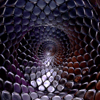 Snakes GIFs - Get the best gif on GIFER