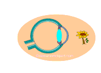 Oeil GIFs - Obtenez le meilleur gif sur GIFER