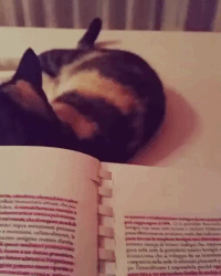 Estudiantes GIFs - Get the best gif on GIFER