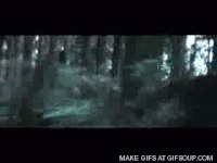 Bosques GIFs - Get the best gif on GIFER