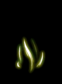 Km GIFs - Get the best gif on GIFER