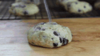 Biscuit GIFs - Get the best gif on GIFER