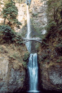 Oregon GIFs - Get the best gif on GIFER