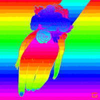 Lgbt GIFs - Get the best gif on GIFER