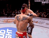 Mma гифки, анимированные GIF изображения mma - скачать гиф картинки на ...