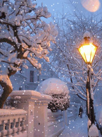 Snowy GIFs - Get the best gif on GIFER