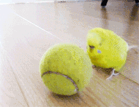 Nudge GIFs - Get the best gif on GIFER