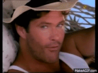 David hasselhoff GIFs - Get the best gif on GIFER