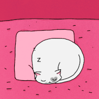 Zzz GIFs - Get the best gif on GIFER