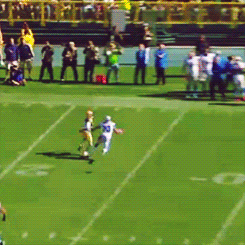 Cobb GIFs - Get the best gif on GIFER