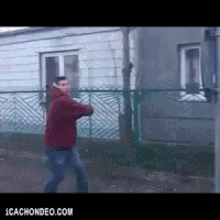 Absurd GIFs - Get the best gif on GIFER