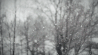 Snowfall GIFs - Get the best gif on GIFER