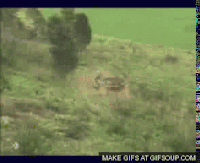 Accidents GIFs - Get the best gif on GIFER