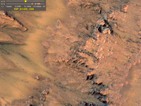 Candidate GIFs - Get the best gif on GIFER