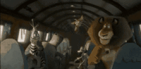 Madagascar GIFs - Get the best gif on GIFER
