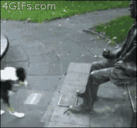 Solitaire GIFs - Get the best gif on GIFER