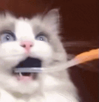 Cavities GIFs - Obtenez le meilleur gif sur GIFER