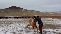 Taming GIFs - Get the best gif on GIFER