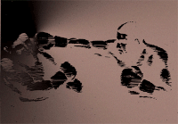 Boxing ring GIFs - Get the best gif on GIFER