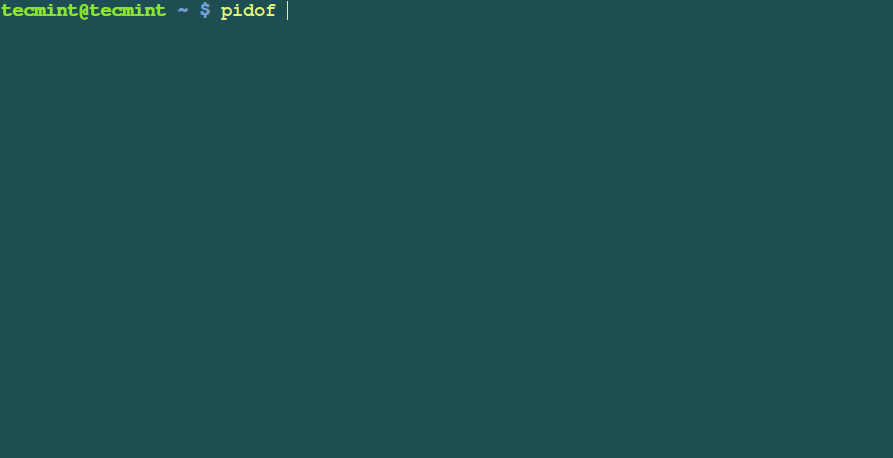 Procedimiento GIF - Conseguir el mejor gif en GIFER