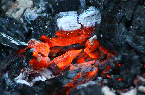 Coals GIFs - Get the best gif on GIFER