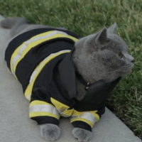 Firefighters GIFs - Get the best gif on GIFER