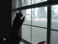 Outside GIFs - Get the best gif on GIFER