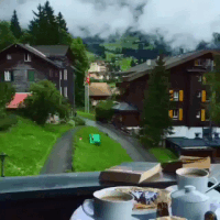 Tea GIFs - Get the best gif on GIFER