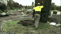 Planting GIFs - Get the best gif on GIFER
