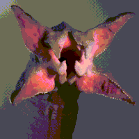 Tremors GIFs - Get the best gif on GIFER