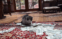 Lottery GIFs - Get the best gif on GIFER