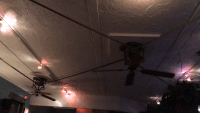 Ceiling fans GIFs - Get the best gif on GIFER