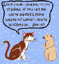 Groundhog GIFs - Get the best gif on GIFER