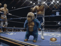 Midget GIFs - Get the best gif on GIFER