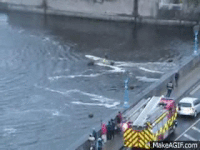 Limerick GIFs - Get the best gif on GIFER