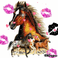 Blingee GIFs - Get the best gif on GIFER