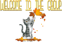 Group GIFs - Get the best gif on GIFER